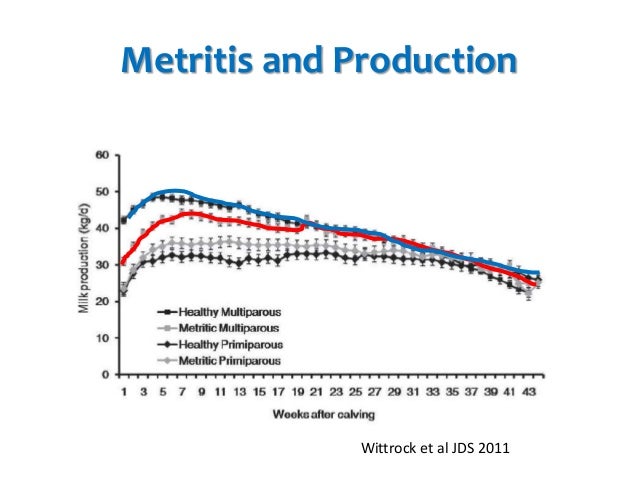 Diagnosis and Treatment of Metritis