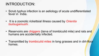 DIAGNOSIS AND TREATMENT OF SCRUB THYPUS | PPTX