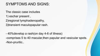DIAGNOSIS AND TREATMENT OF SCRUB THYPUS | PPTX