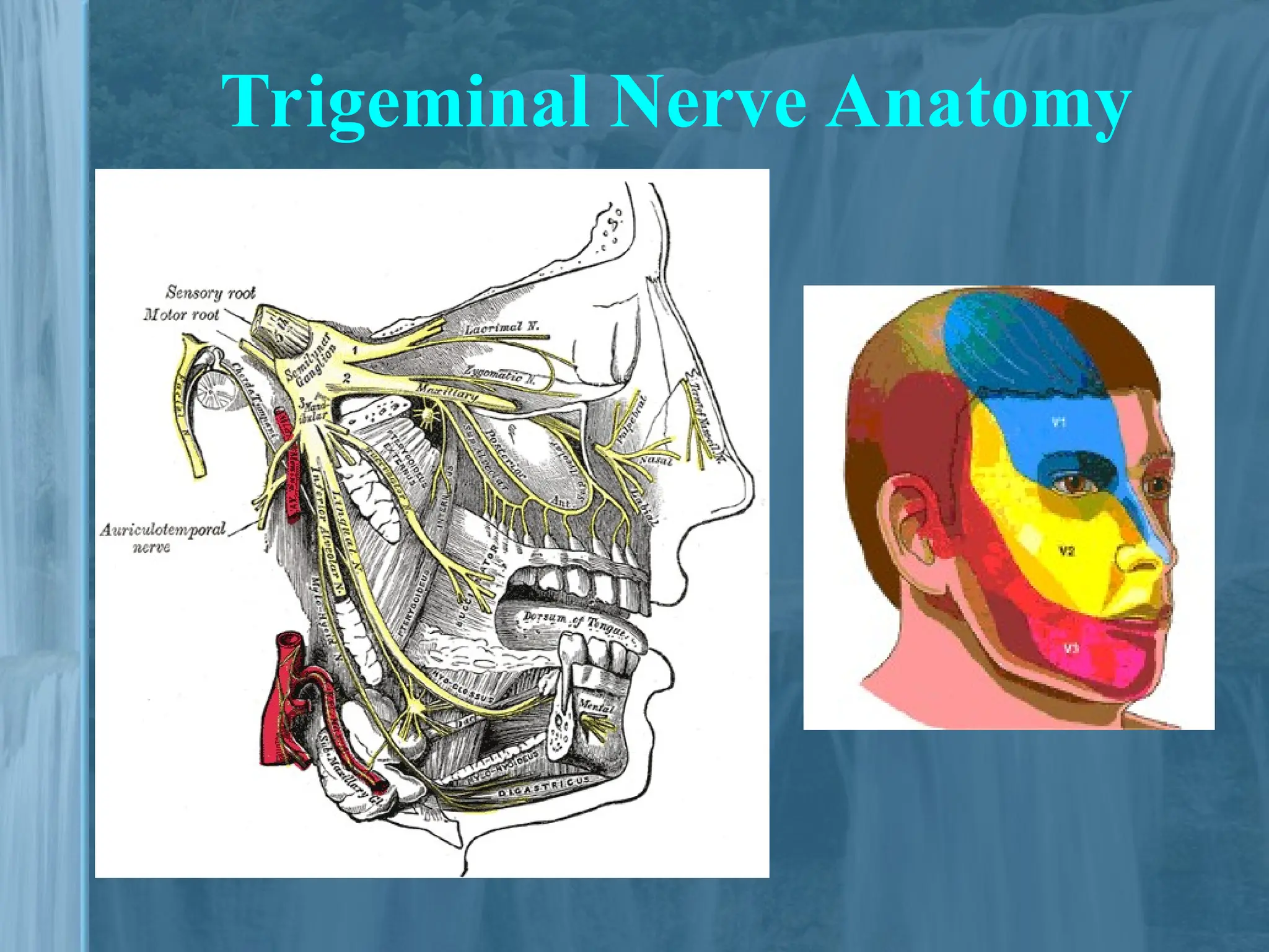 Diagnosis and Treatment of Trigeminal Neuralgia.ppt