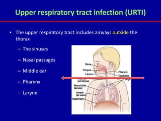 Diagnosis and treatment of URTI | PPT