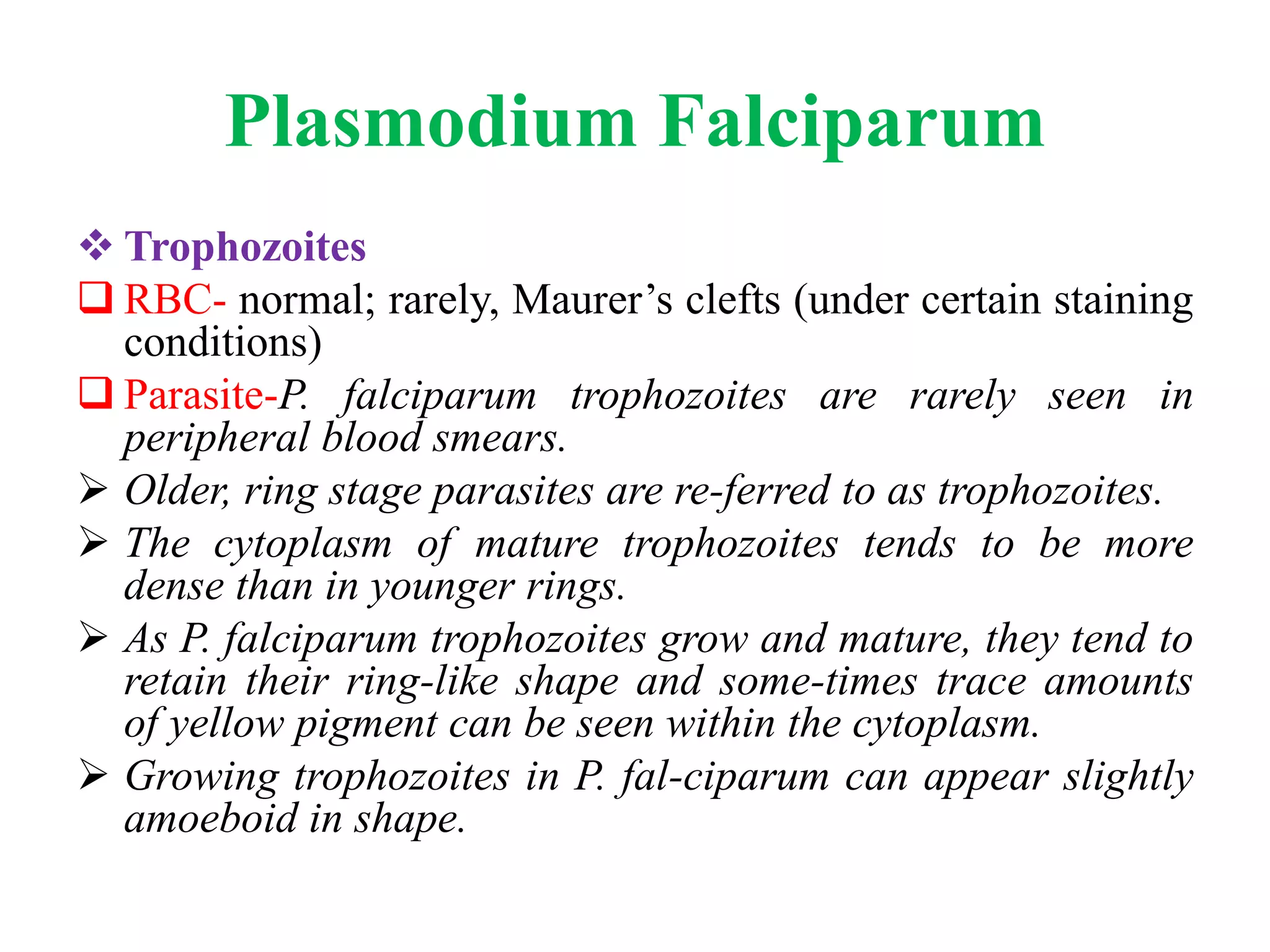 Diagnosis & blood stages of malaria . | PPTX