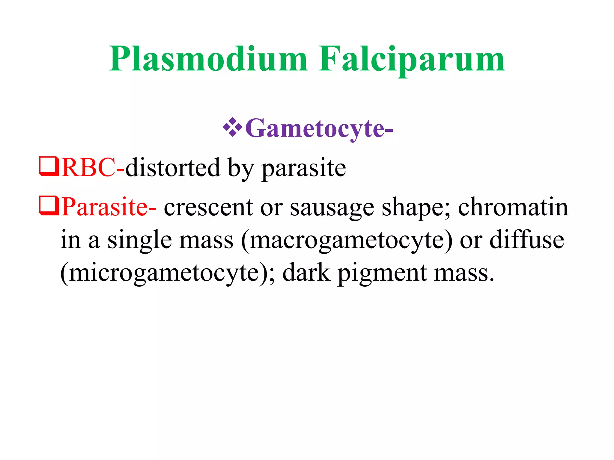 Diagnosis & blood stages of malaria . | PPTX