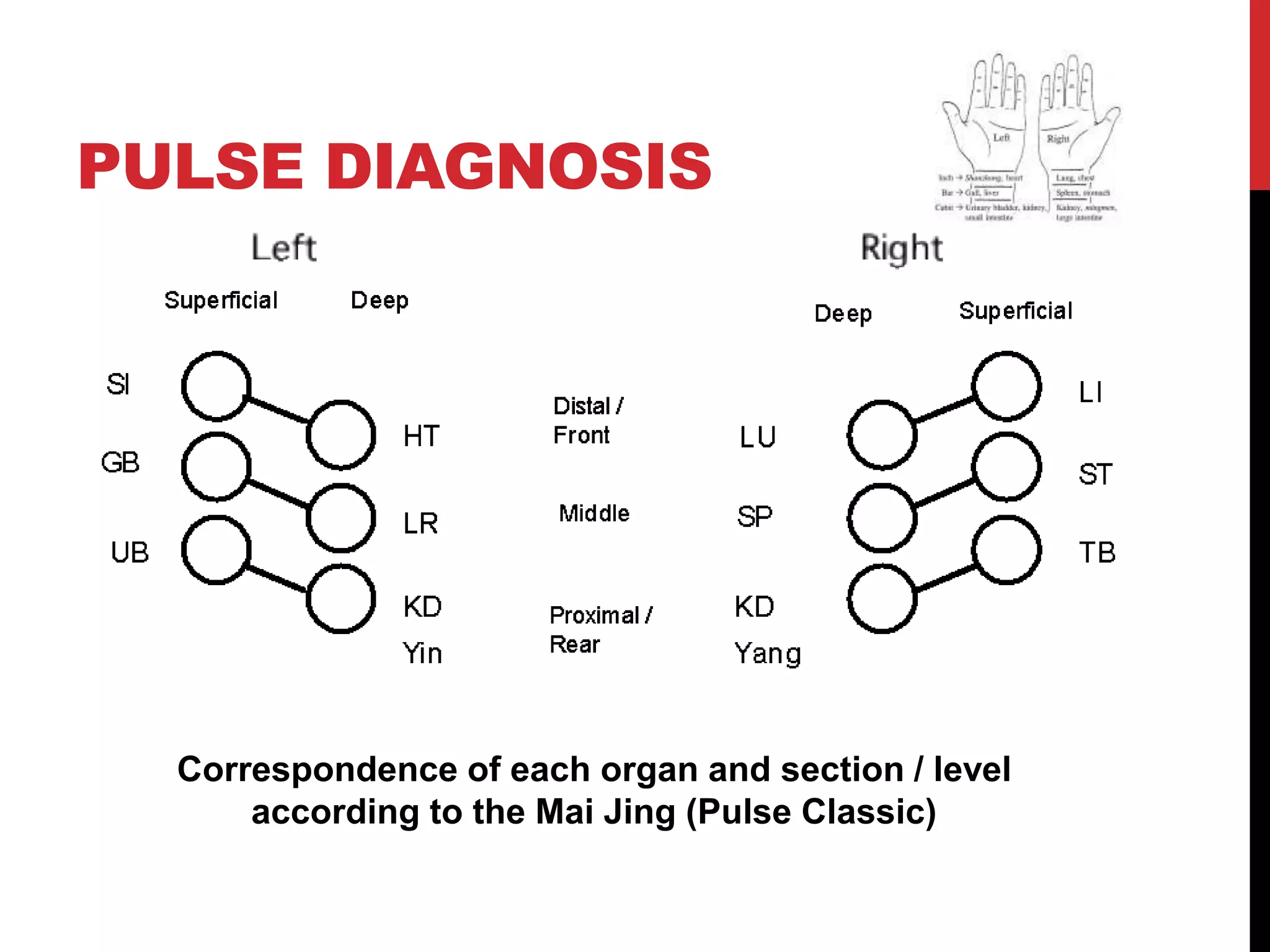 Diagnosis by Palpation | PPTX