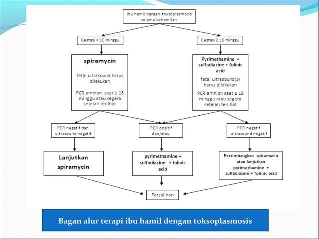 Diagnosis dan manajemen toksoplasmosis pada ibu hamil | PPT