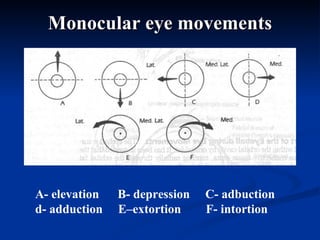 Diagnosis evaluation in strabismus | PPT