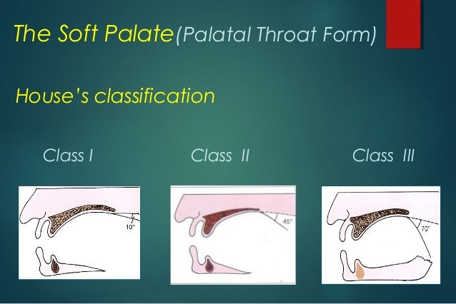 Diagnosis for edentulous patients