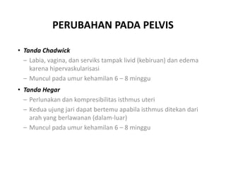 Diagnosis Kehamilan | PPTX