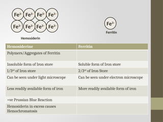 Diagnosis of Anaemia and Iron Deficiency Anaemia | PPTX
