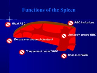 Diagnosis of anemia part 1 | PPT