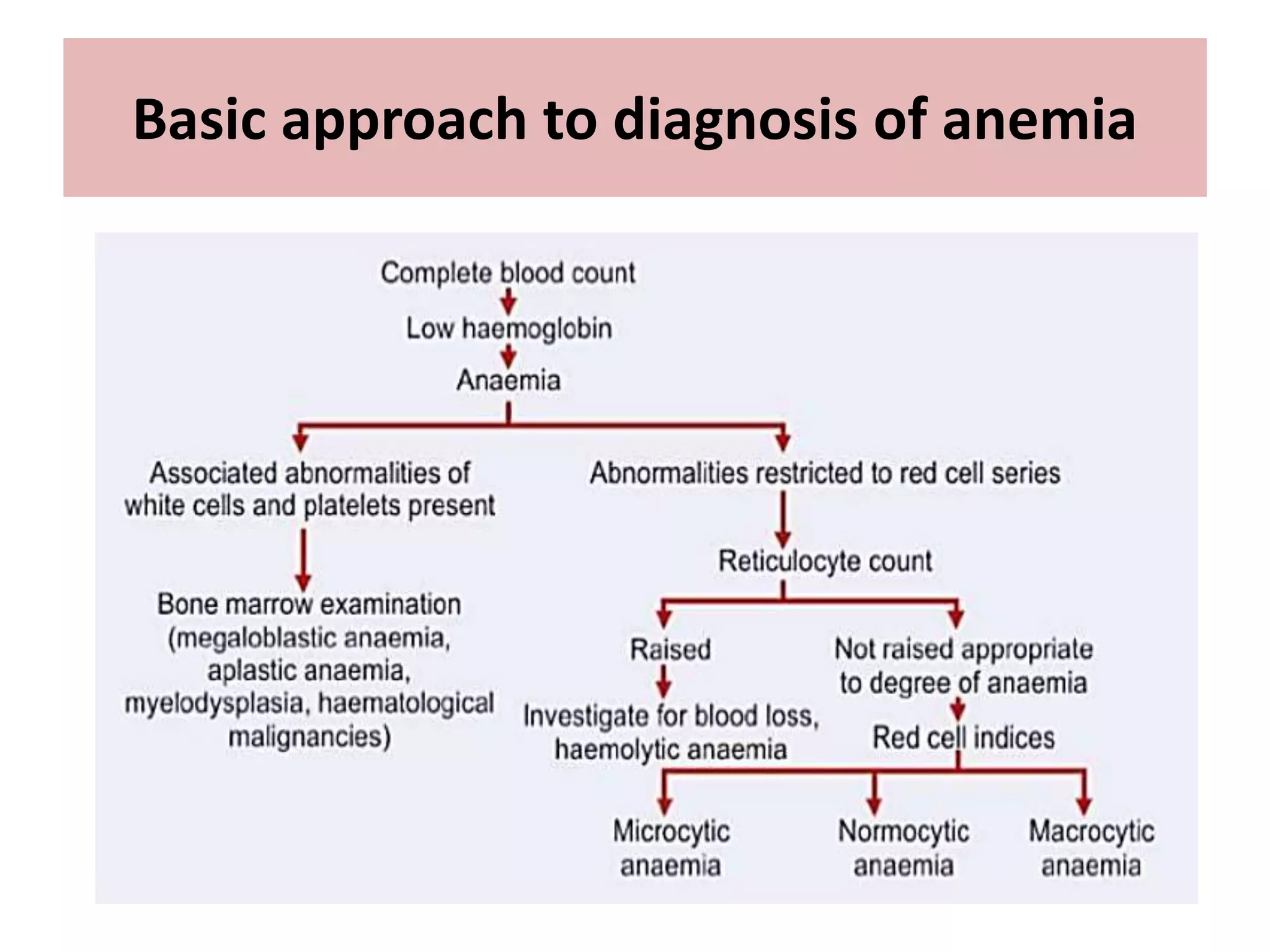 Diagnosis of Anemia | PPTX