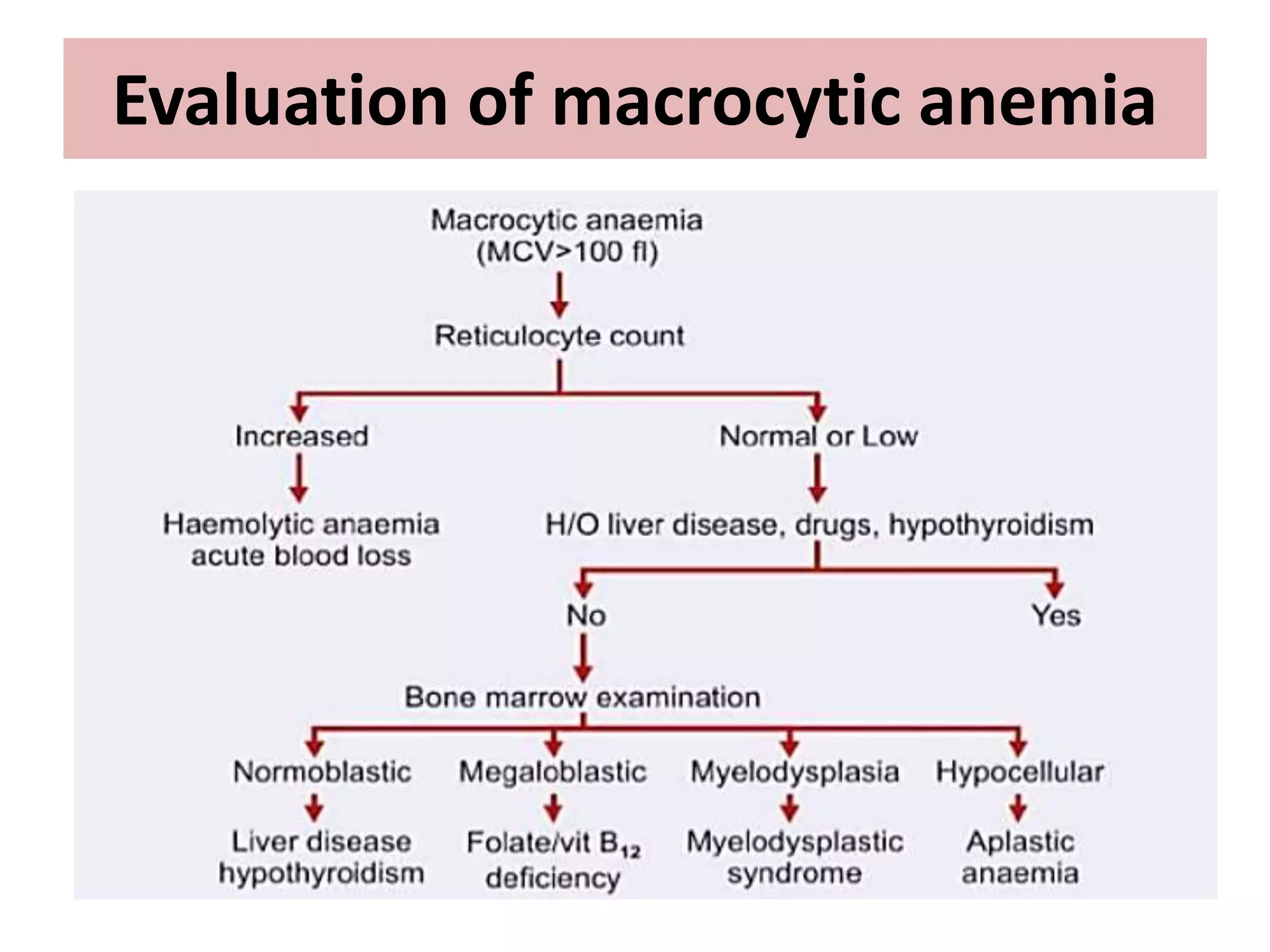 Diagnosis of Anemia | PPTX