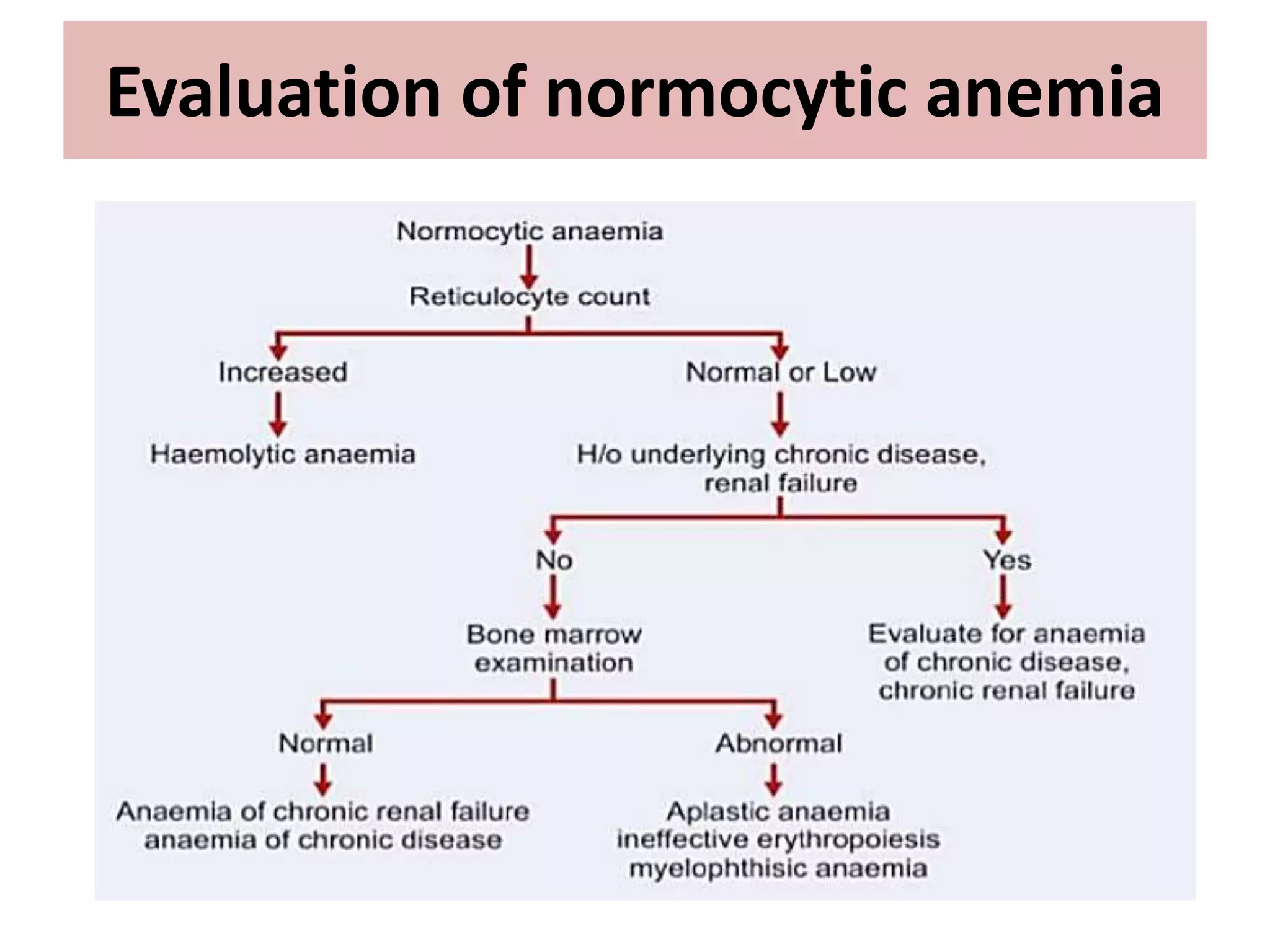 Diagnosis of Anemia | PPTX