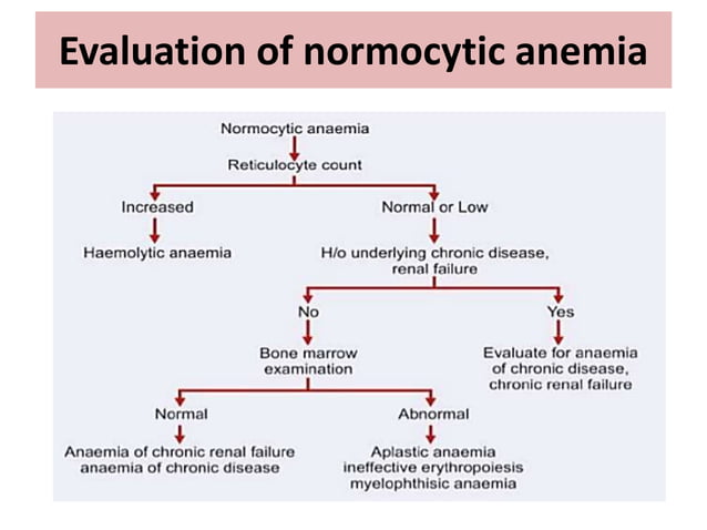 Diagnosis of Anemia | PPTX