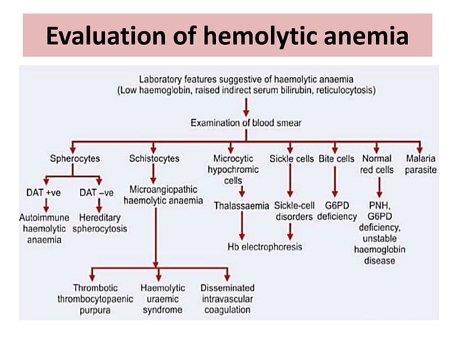 Diagnosis of Anemia | PPTX