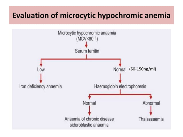 Diagnosis of Anemia