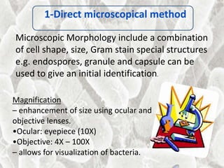 Diagnosis of bacterial diseases | PPTX