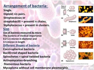 Diagnosis of bacterial diseases | PPTX