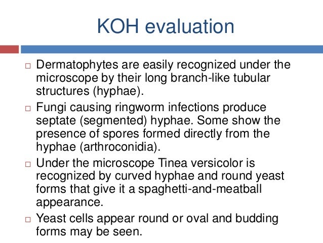 Diagnosis of cutaneous fungal infections