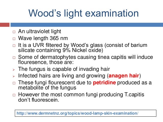 Diagnosis of cutaneous fungal infections
