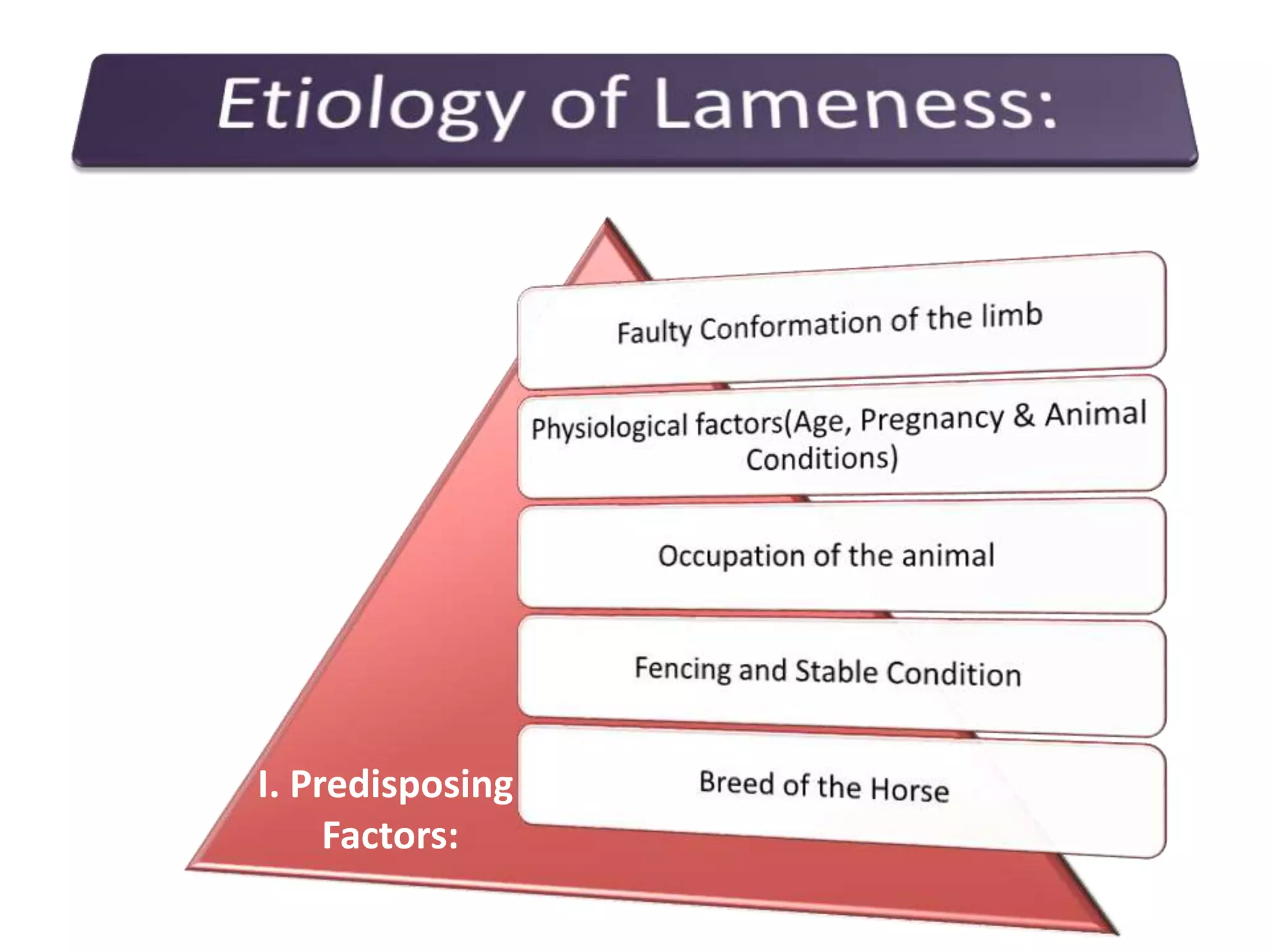 Diagnosis of equine limb lameness | PPSX