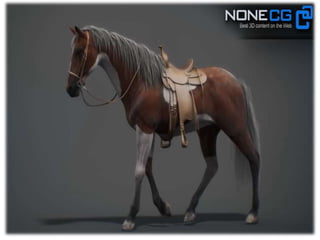 Diagnosis of equine limb lameness | PPSX
