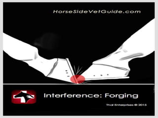 Diagnosis of equine limb lameness | PPSX