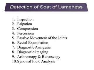 Diagnosis of equine limb lameness | PPSX