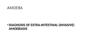 DIAGNOSIS OF EXTRA_INTESINAL AMOEBIASIS.pptx