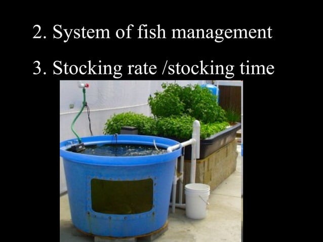 Diagnosis of fish diseases | PPT | Diseases and Conditions | Medical Health