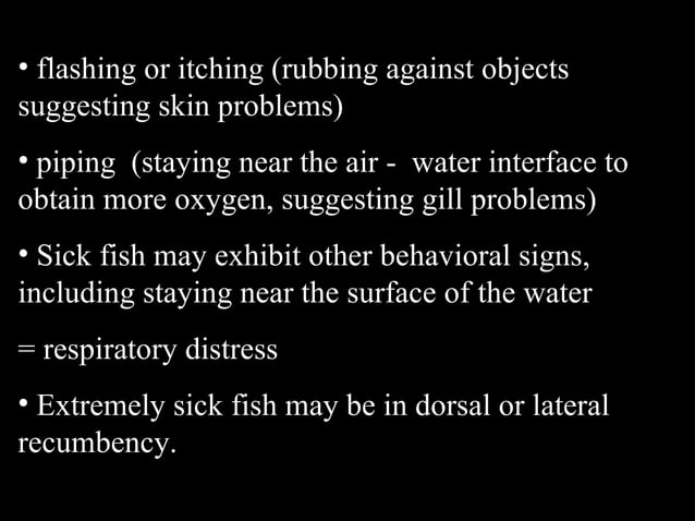 Diagnosis of fish diseases | PPT | Diseases and Conditions | Medical Health