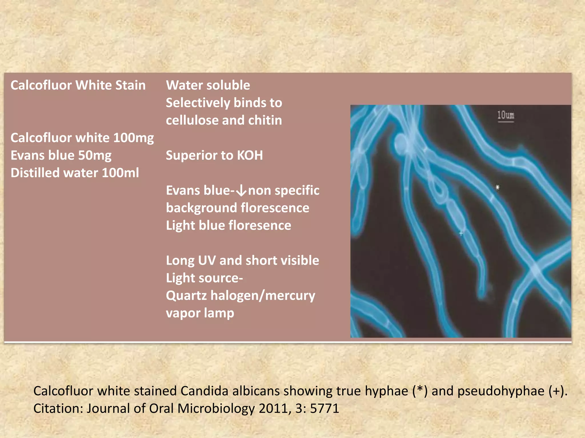 Lab diagnosis of fungal infections, Dr Naveen Reddy | PPTX