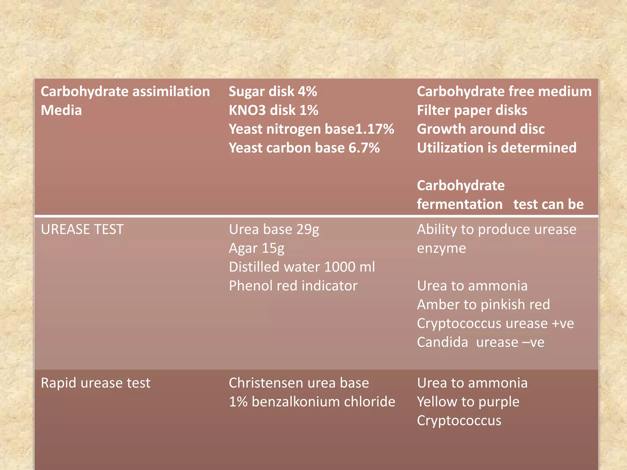 Lab diagnosis of fungal infections, Dr Naveen Reddy | PPTX