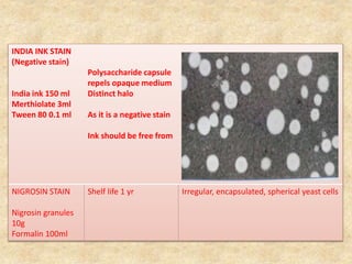 Lab diagnosis of fungal infections, Dr Naveen Reddy | PPTX