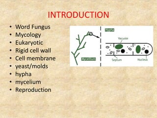 Lab diagnosis of fungal infections, Dr Naveen Reddy | PPTX