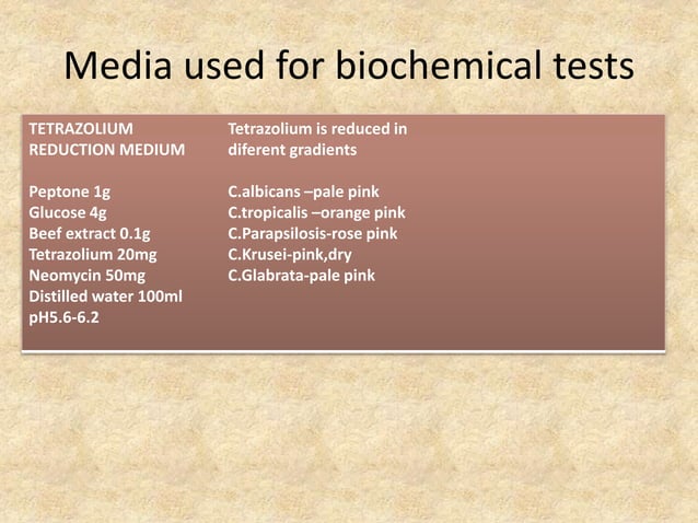Lab diagnosis of fungal infections, Dr Naveen Reddy | PPTX