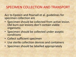 Lab diagnosis of fungal infections, Dr Naveen Reddy | PPTX