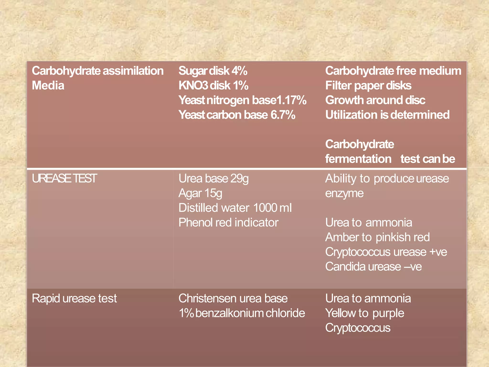 Diagnosis of fungal infections | PPTX