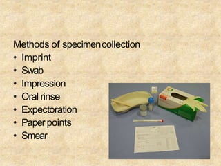 Diagnosis of fungal infections | PPTX