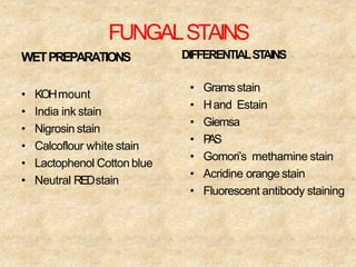 Diagnosis of fungal infections | PPT