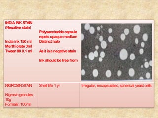 Diagnosis of fungal infections | PPT