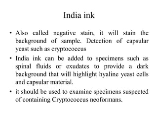 Diagnosis of fungal disease by Dr. Manoj karki | PPT
