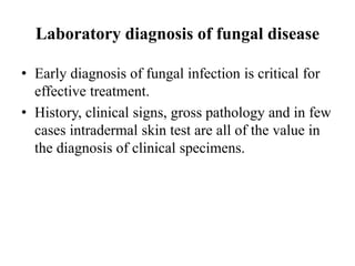 Diagnosis of fungal disease by Dr. Manoj karki | PPT
