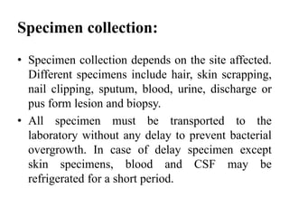 Diagnosis of fungal disease by Dr. Manoj karki | PPTX