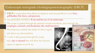 Diagnosis of Gastrointestinal Track.pptx
