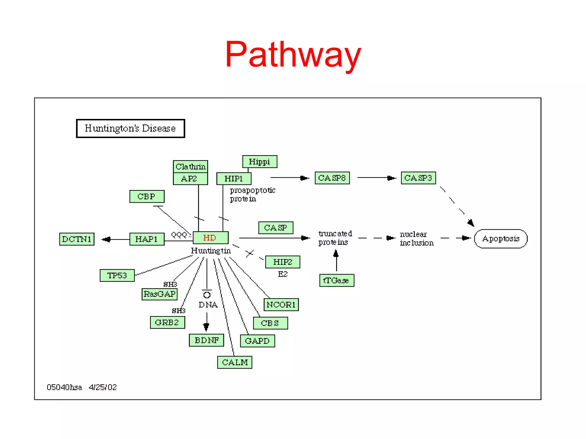 Diagnosis Of Genetic Disorders & Infectious Diseases | PPT