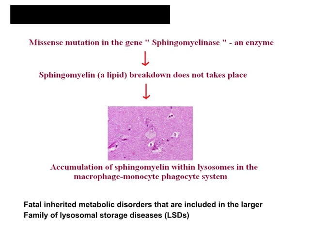 Diagnosis Of Genetic Disorders & Infectious Diseases | PPT