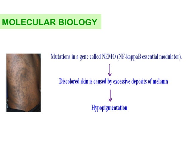 Diagnosis Of Genetic Disorders & Infectious Diseases | PPT