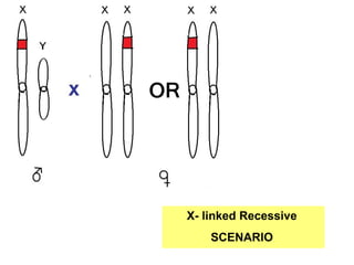 Diagnosis Of Genetic Disorders & Infectious Diseases | PPT