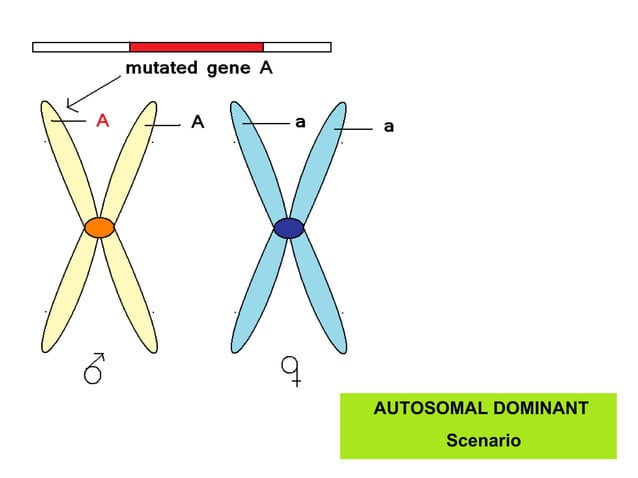 Diagnosis Of Genetic Disorders & Infectious Diseases | PPT